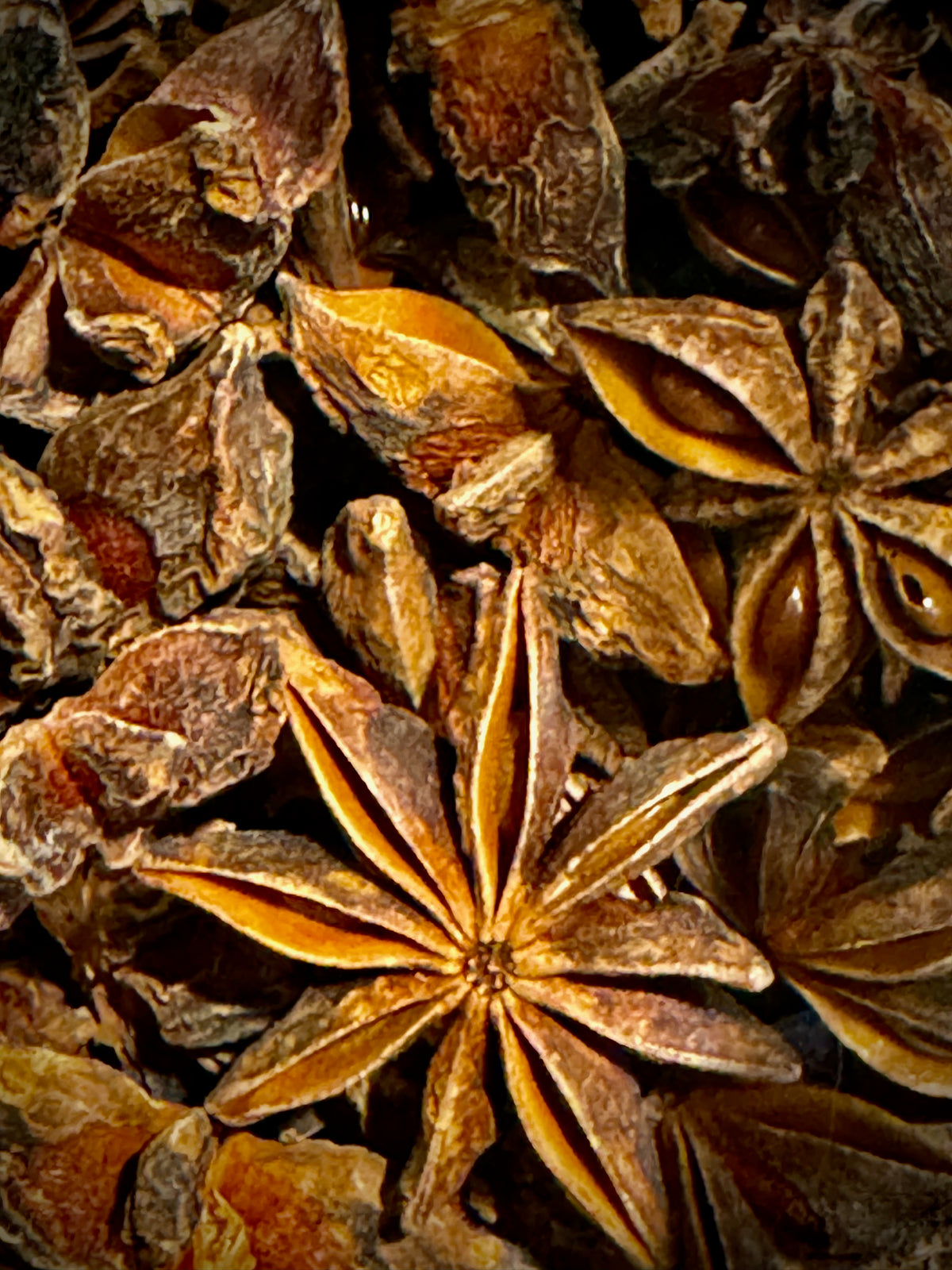 Anise Star Pods | Kama Loka